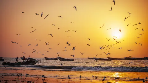 Gambie | Guide de voyage Gambie | Lonely Planet