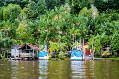 Guyane Française | Guide de voyage Guyane Française | Lonely Planet