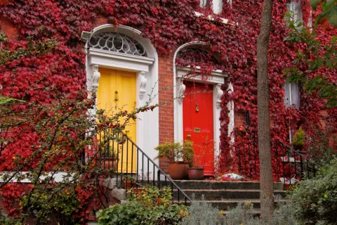 Visiter Merrion Square et environs : à voir, à faire | Lonely Planet
