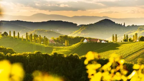 Visiter Styrie : à voir, à faire | Lonely Planet