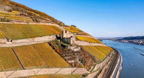 Visiter ­­vallée du Rhin romantique : à voir, à faire | Lonely Planet