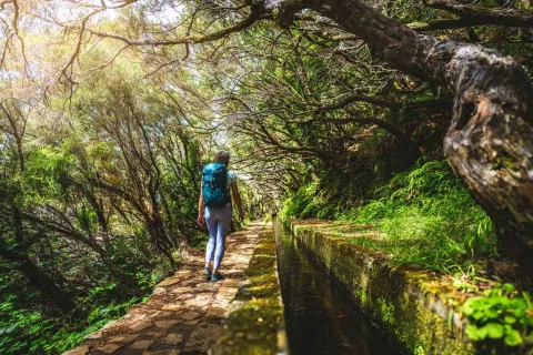 Les levadas à Madère | Lonely Planet