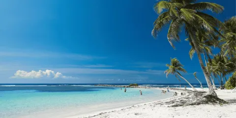 Visiter La Grande-Terre en Guadeloupe : que voir, que faire ? | Lonely ...