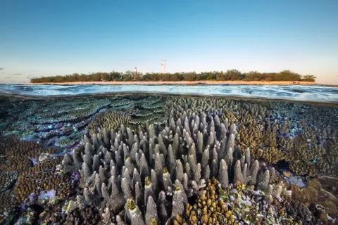 Australia Nature Coast : la région incontournable de l'Australie ...