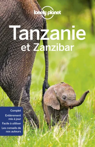 Tanzanie et Zanzibar | Guide de voyage Tanzanie et Zanzibar | Lonely Planet