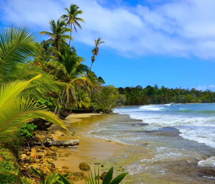 Amérique | Guide de voyage Amérique | Lonely Planet